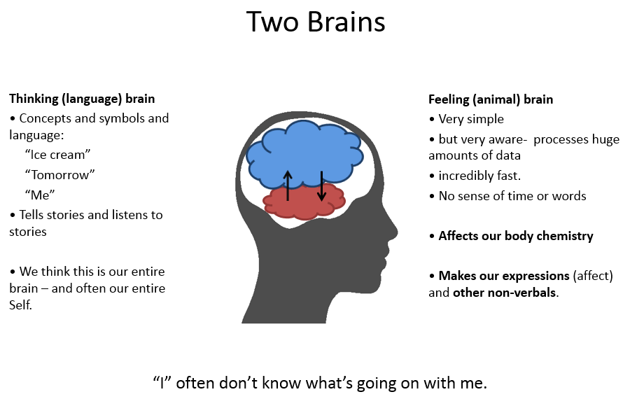 Thinking Vs Feeling